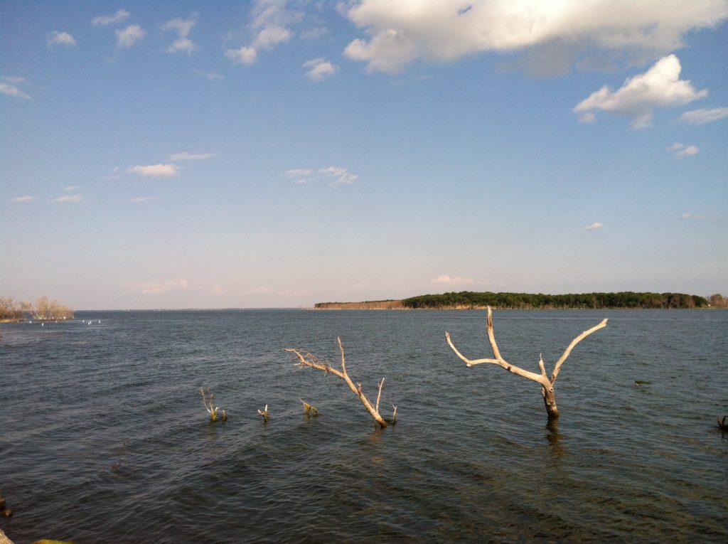 Fishing Guides on Lake Sakakawea, Devils Lake & Lake Oahe / Missouri ...
