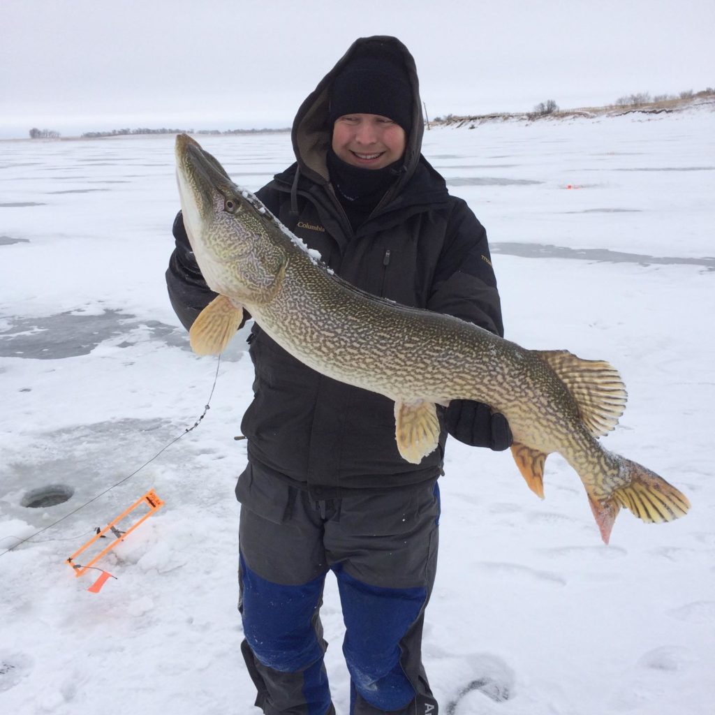 Fishing Guides on Lake Sakakawea, Devils Lake & Lake Oahe / Missouri ...
